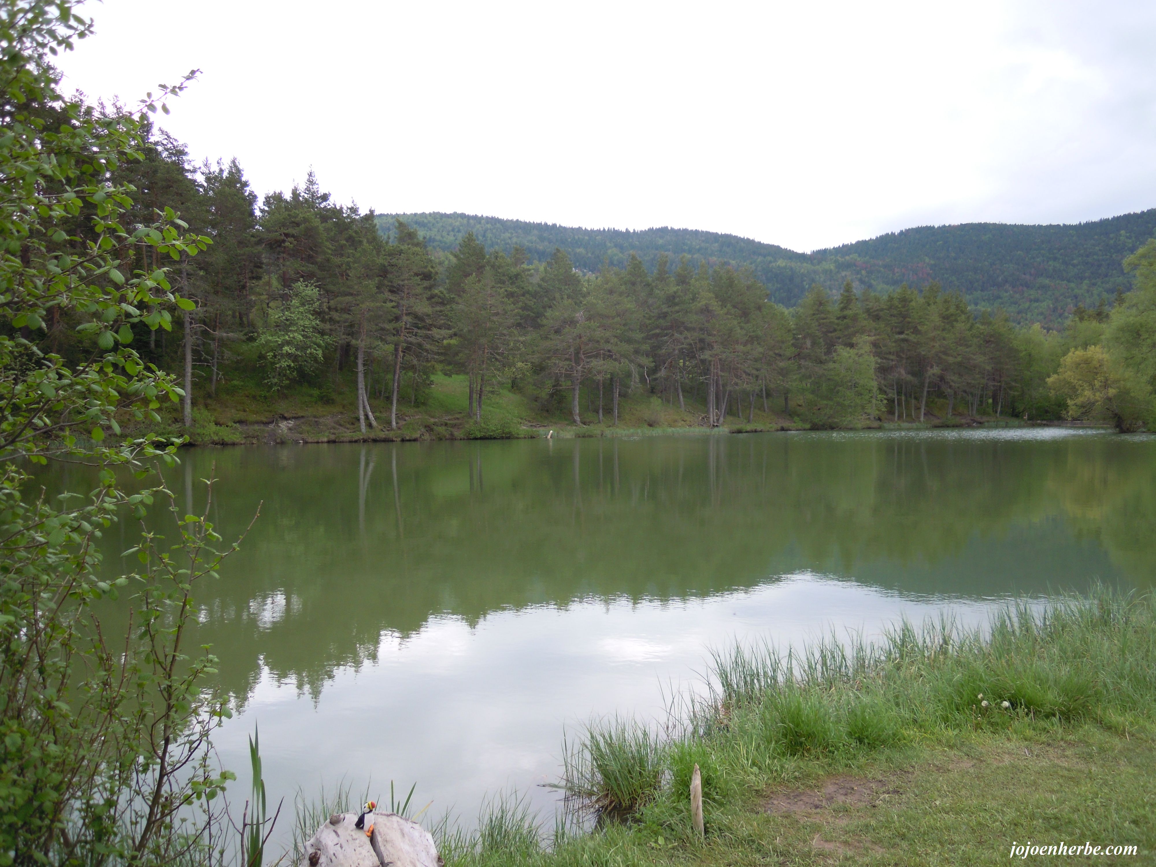 Lac de Thorenc – JOJO EN HERBE